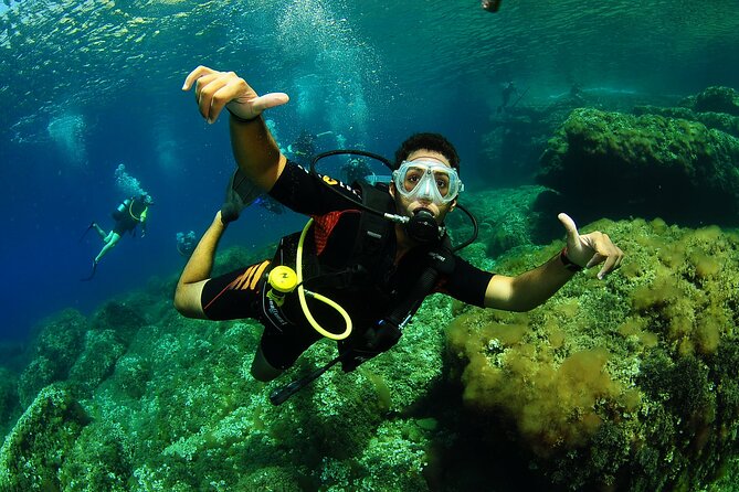 Scuba Diving Baptism and Snorkeling Review - Assessing the Overall Diving Excursion