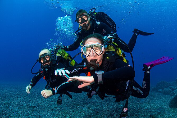 Scuba Diving Baptism Experience in Santa Cruz Tenerife - Location and Meeting Point