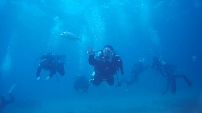 Scuba Diving Baptism in Caleta de Fuste - What You Can Expect from Your Caleta de Fuste Scuba Baptism