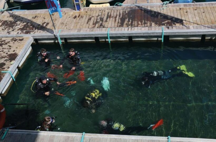 Scuba Diving Baptism in Caleta de Fuste - FAQ