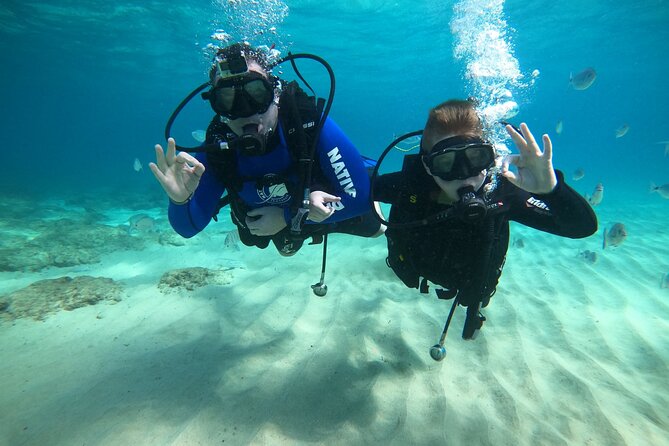 Scuba Diving (Basic Diver - 2 Dives) - Included Gear and Support