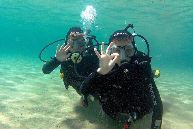 Scuba Diving (Basic Diver - 2 Dives) - Meeting Point and Pickup