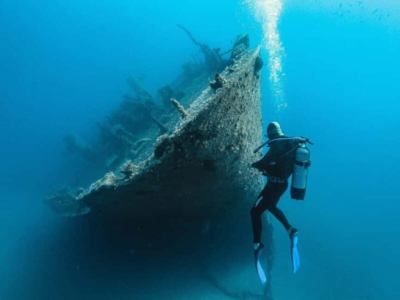 Scuba Diving Beginners/Experts Pefkos Lindos Rhodes Greece - The Marine Environment: Why It’s Special