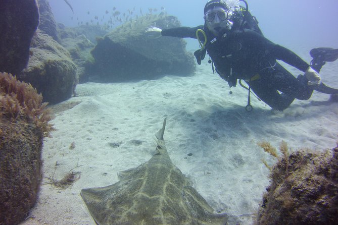 Scuba Diving Beginners Session in Costa Adeje - Health and Safety Guidelines