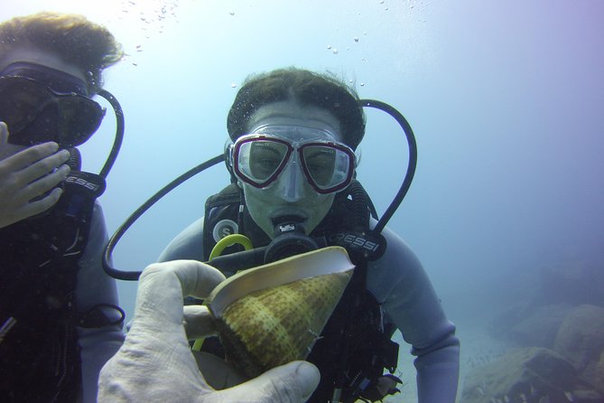 Scuba Diving Beginners Session in Costa Adeje - Why Choose Costa Adeje for Diving