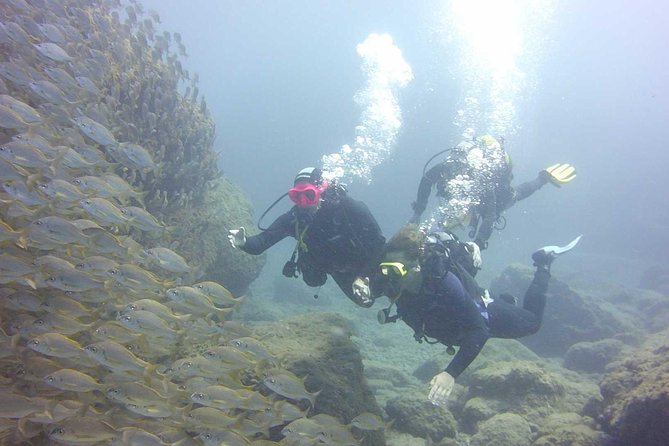 Scuba Diving Beginners Session in Costa Adeje - Preparing for Your First Dive
