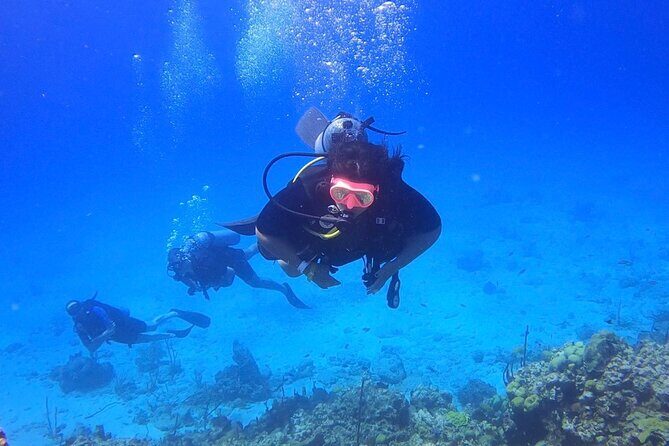 Scuba Diving Catalina Island from Punta Cana - Practical Considerations and Tips