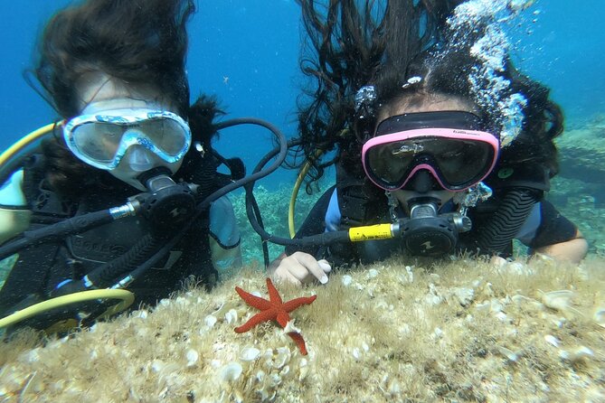 Scuba Diving Class in Mellieha - Key Points