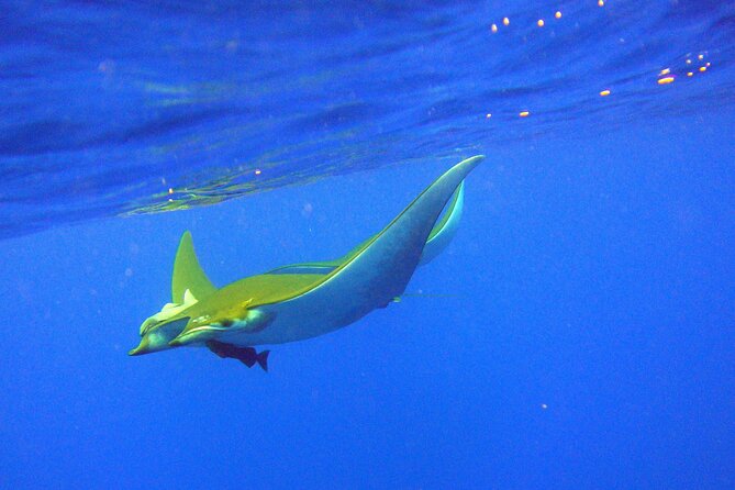 Scuba Diving - Meeting and Logistics