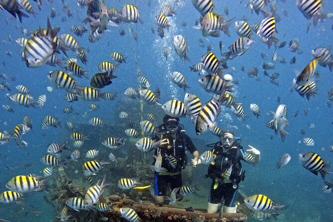 Scuba Diving Discovery in the Crystal Water DE Bayahibe - Key Points