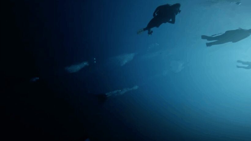 Scuba Diving - Dive for certified divers - The Experience: What You Can Expect