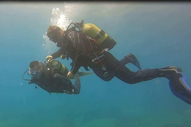 Scuba Diving Experience at Arguineguin and Puerto Rico - Authentic Feedback from Previous Participants