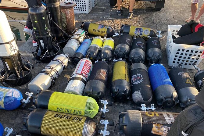 Scuba Diving Experience - Exploring the Underwater Lava Fields and Protected Zone