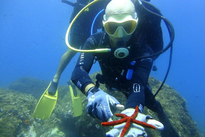 Scuba Diving Experience - Recommended for Travelers of All Diving Levels