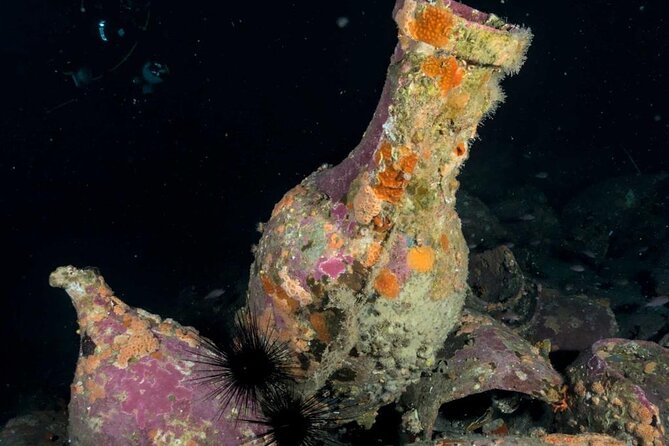 Scuba Diving Experience - Booking Details and Pricing