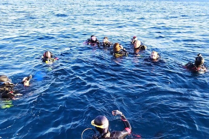 Scuba Diving Experience - Frequently Asked Questions