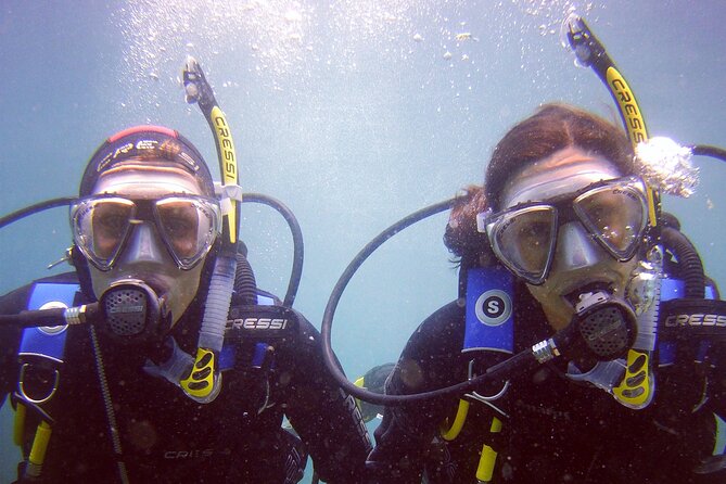 Scuba Diving Experience for Beginners in Gran Canaria - The Itinerary and What to Expect