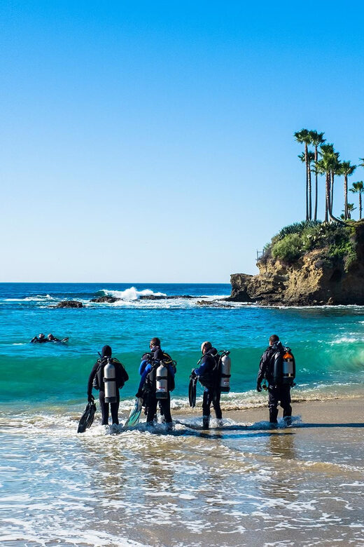 Scuba Diving Experience for Beginners In Greece - Why This Tour Offers Great Value