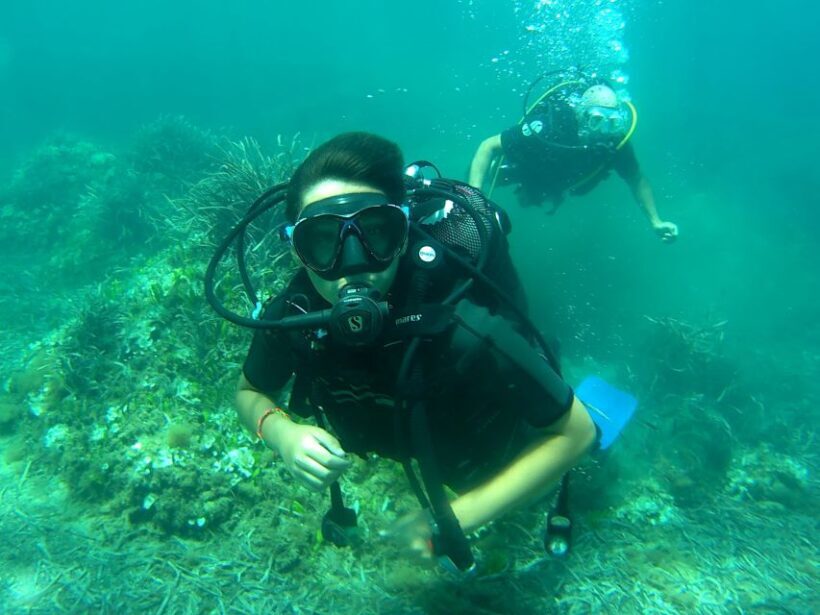 Scuba Diving Experience for Beginners - Final Thoughts: Is It Worth It?