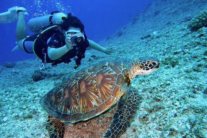 Scuba Diving Experience in Alanya With Lunch and 2 Dives - Who Is This Tour Best Suited For?