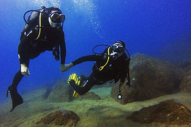 Scuba Diving Experience in Madeira - Frequently Asked Questions