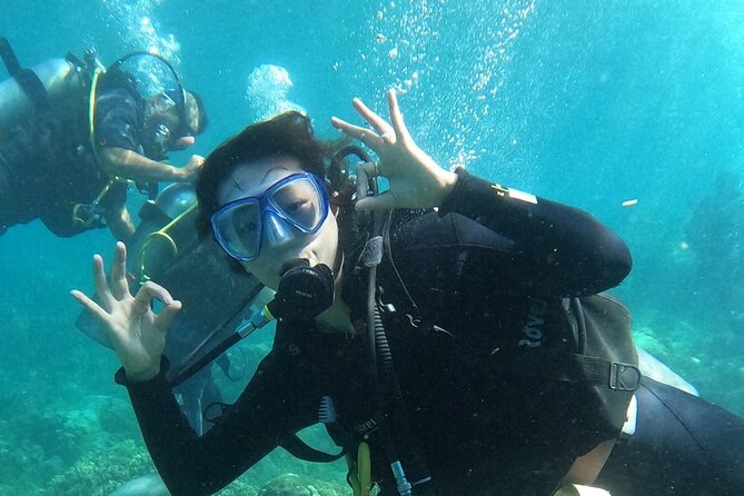 Scuba Diving Experience in Nha Trang Bay - What’s Included and What to Keep in Mind