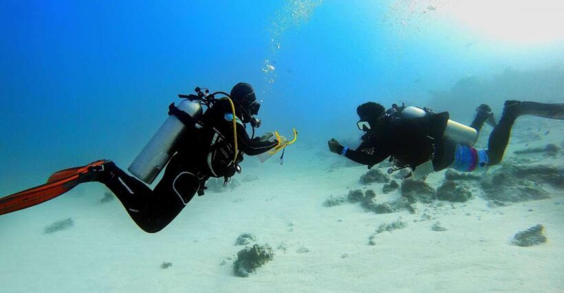 Scuba Diving Experience in Porto Cesareo - A Practical Guide to the Porto Cesareo Scuba Experience