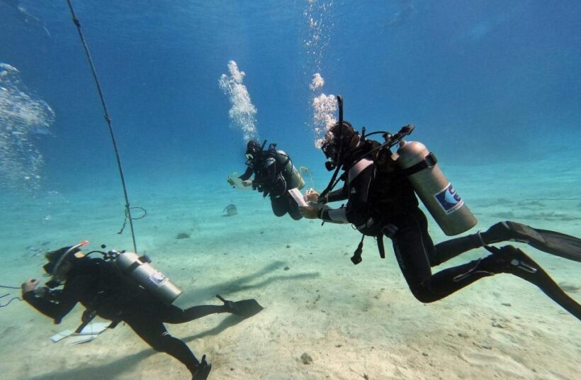 Scuba Diving Experience in Porto Cesareo - Authentic Experiences and Real Traveler Insights