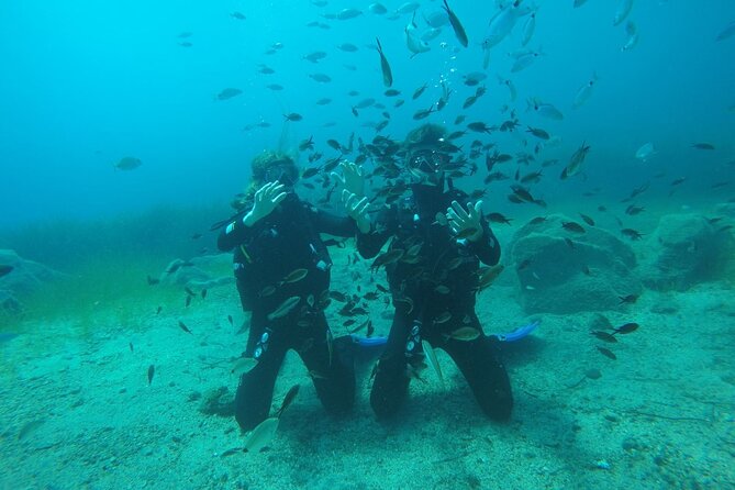 Scuba Diving Experience in Santorini - Logistics: Meeting Point and Transportation