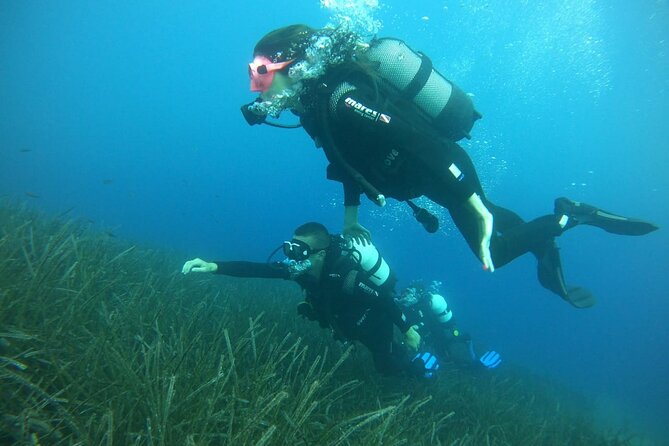 Scuba Diving Experience in Santorini - Customer Testimonials and Ratings