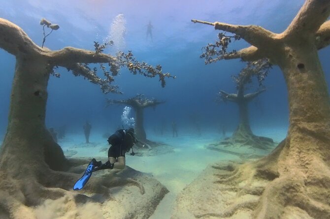 Scuba Diving Experience & MUSAN Dive + Free Edited Video 2xdives - Schedule and Availability