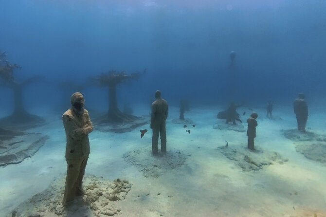 Scuba Diving Experience & MUSAN Dive + Free Edited Video 2xdives - Accessibility and Health Considerations