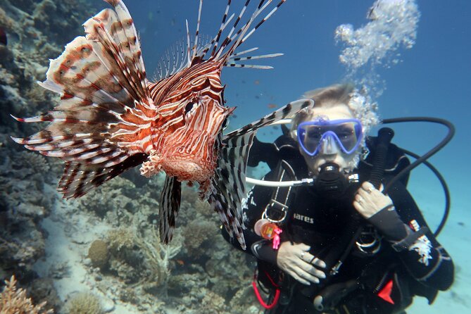 Scuba Diving Experience & MUSAN Dive + Free Edited Video 2xdives - Dive Site: MUSAN