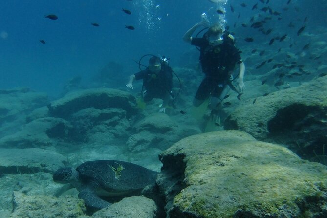 SCUBA DIVING first time experience - What Do the Reviews Tell Us?