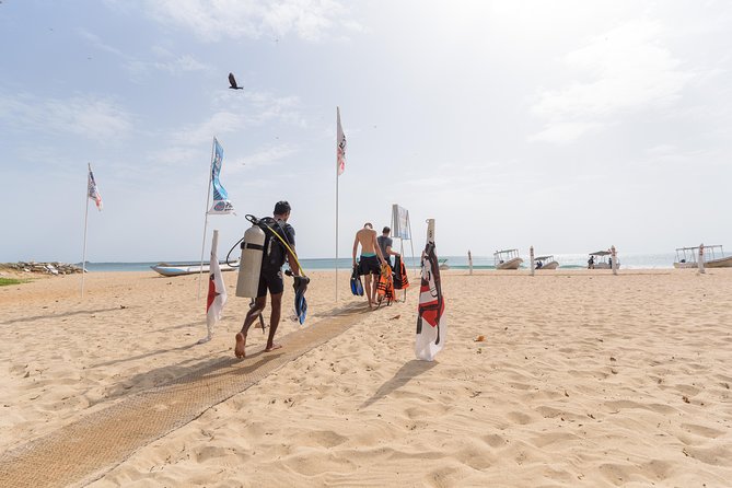 Scuba Diving For Beginners - Final Thoughts: Is This Tour for You?