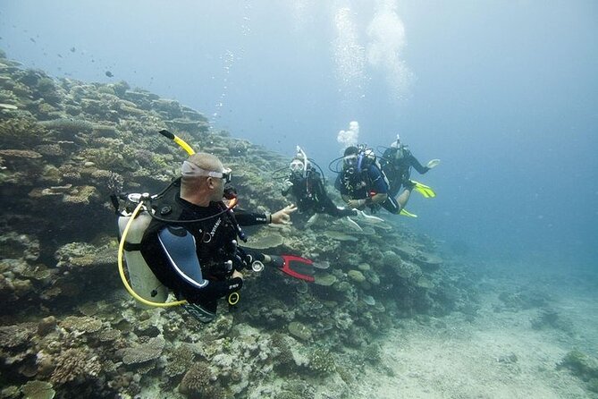 Scuba Diving For Beginners - Frequently Asked Questions