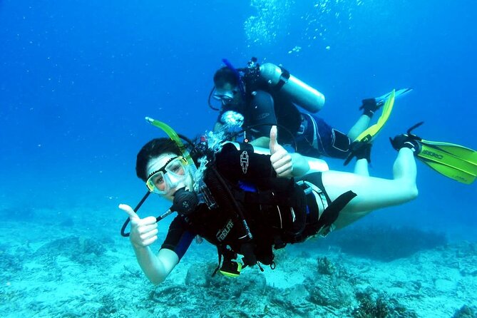 Scuba diving for beginners Cambrils with hotel Pickup - What the Tour Entails