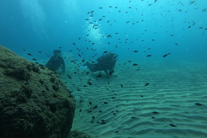 Scuba Diving For Beginners - Understanding the Safety Measures