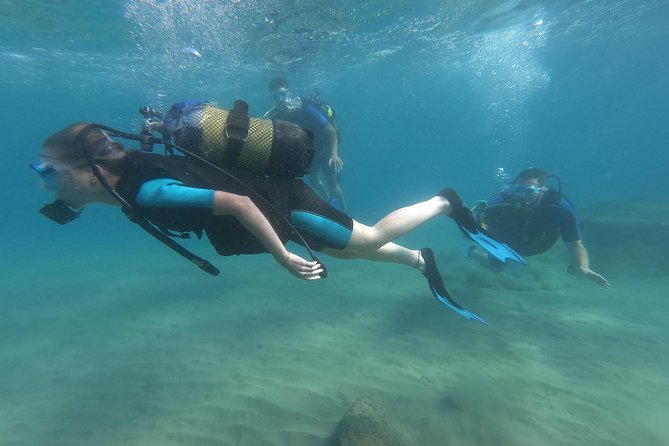 Scuba Diving For Beginners - Meeting Points and Pickup Information
