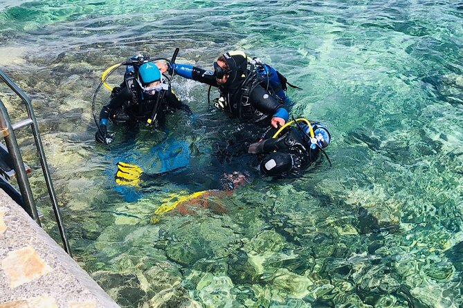 Scuba Diving for Beginners in Pula - Diving Techniques and Safety Protocols