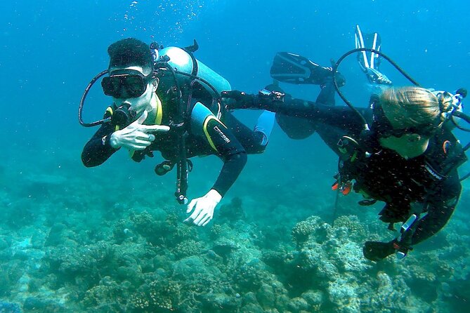 Scuba Diving for Beginners in Pula - Pricing and Inclusions