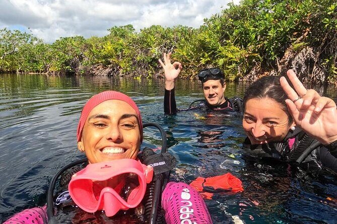 Scuba Diving for Beginners  Playa del Carmen or Tulum - Introduction: What to Expect from This Beginner-Friendly Diving Tour