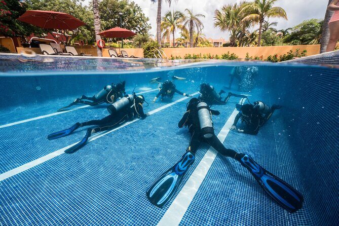 Scuba Diving for Beginners  Playa del Carmen or Tulum - The Value of This Experience