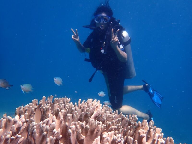 Scuba Diving for Beginners with Certified Diving Centre - Who Should Consider This Tour?