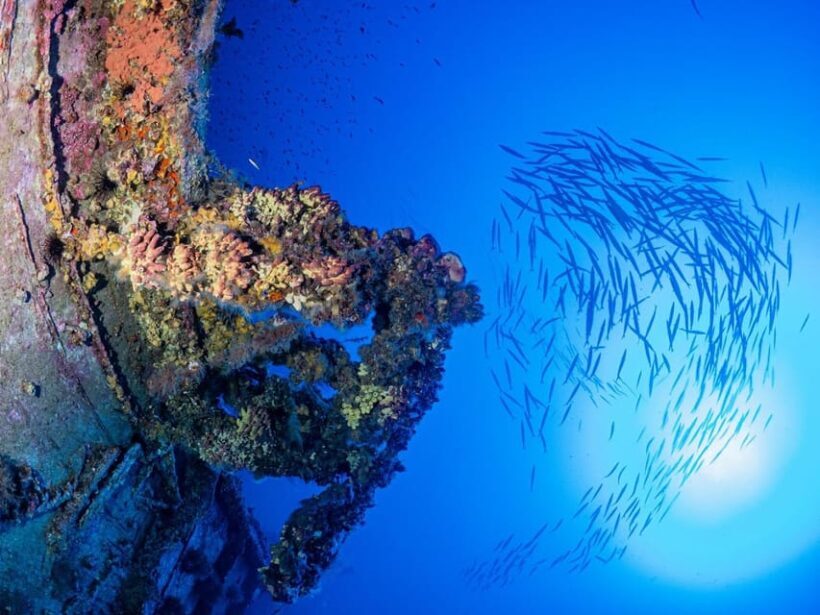 Scuba diving for certified divers, 2 Dives - Accessibility and Suitability