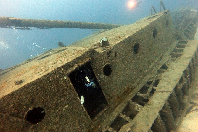 Scuba Diving for Certified Divers in Costa Adeje - Participant Requirements and Cancellation Policy