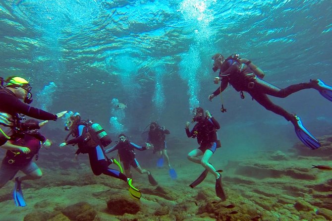 Scuba Diving from Bodrum - Final Thoughts: Is It Worth It?