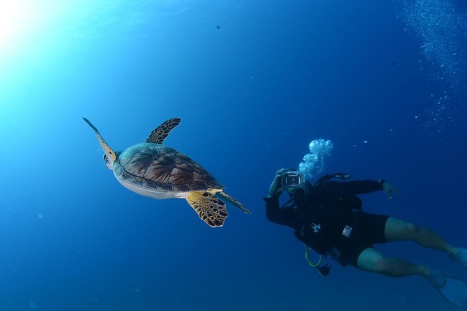 Scuba Diving from Bodrum - Frequently Asked Questions