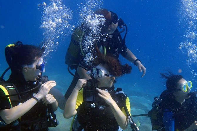 Scuba Diving from Sarigerme - Authentic Experiences and Real Traveler Perspectives