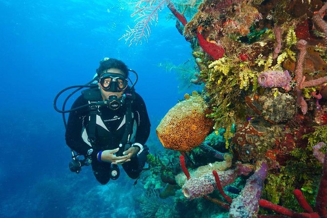 Scuba Diving Full of Adrenaline in Antalya - Ratings and Reviews